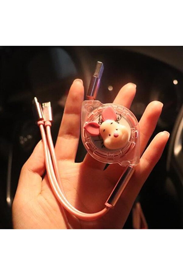 Choice MINISO Cute 3 in 1 Fast Charging USB Micro Retractable Type-C ...