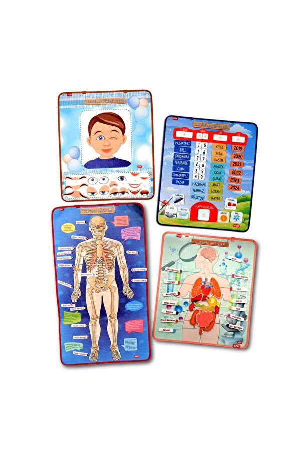 Rain 4 Set 127 Pieces Skeleton, Internal Organs System, I'M Learning ...