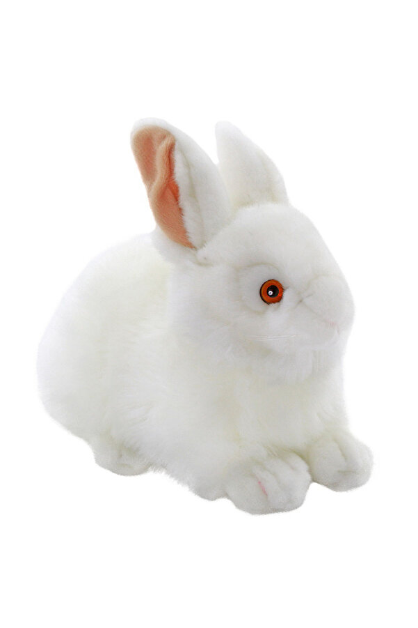 Animals Of The World White Rabbit Plush Toy 23 cm - Trendyol