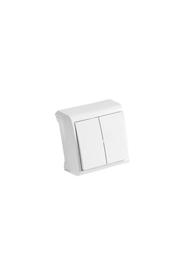 Artvision White 220 Volt Surface Mounted Commutator and Dual Switch ...