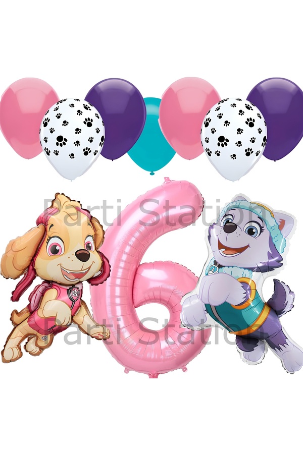 Parti Station 6 Years Old Paw Patrol Skye and Everst Balloon Set ...