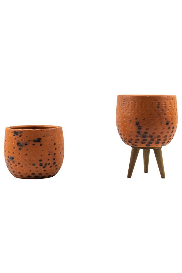 BİTKİ TASARIMI Blackhead Pattern Plant Design - Terracotta Soil and ...