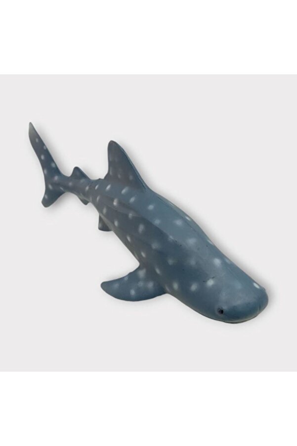 Easy Tedarik Spotted Shark Sea Animals Series - Trendyol