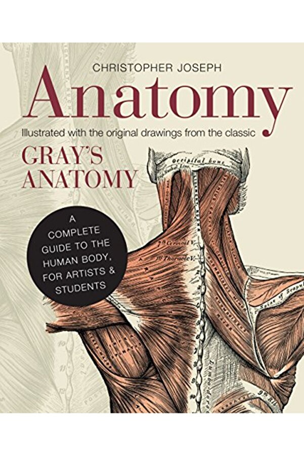 The Ivy Press Anatomy A Complete Guide To The Human Body For Artists ...