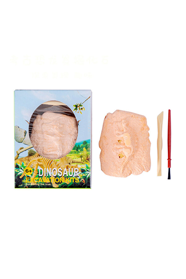 Choice Educational Dinosaur Fossil Excavation Toys Archaeological Dig ...