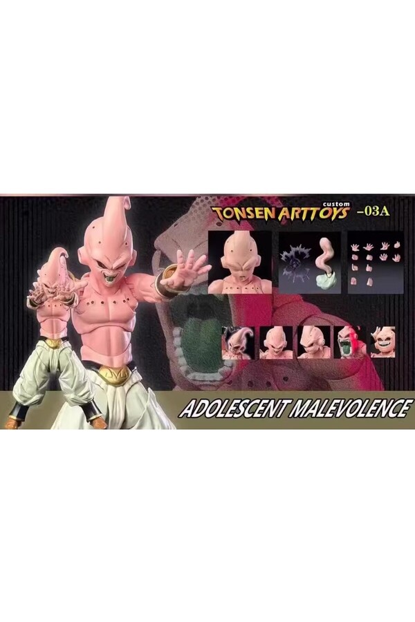 Choice Tonsenarttoys Dragon Ball S.H.Figuarts SHF Adolescent ...