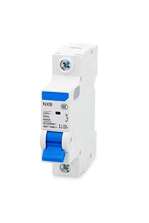 CHİNT ELECTRİC Chint Nxb Series Monophase 1X10A B Type Automatic Fuse ...