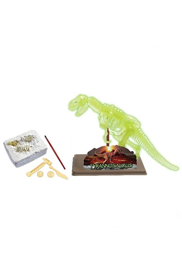 Basic Fun Tyrannosaurus Dinosaur Skeleton - Kids Dig Kit - Trendyol
