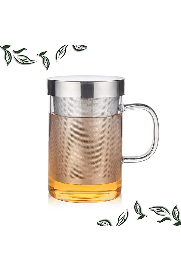 Home Zone 16 9 Oz Borosilicate Glass Tea Mug With Stainless Steel ...