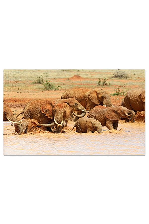 Storygift Romania Canvas Print The Nobility Of The African Elephant ...