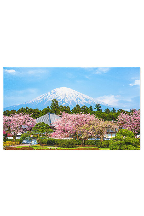 Storygift Romania Canvas Painting 70 X 50cm Spring In Japan Cherry ...