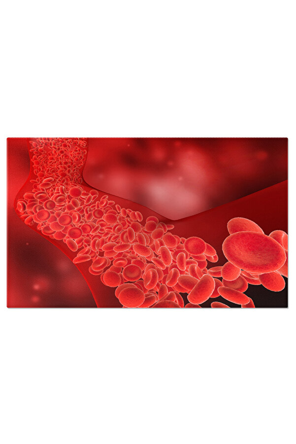 Storygift Romania Canvas Print The Flow Of Red Cells In The Blood ...