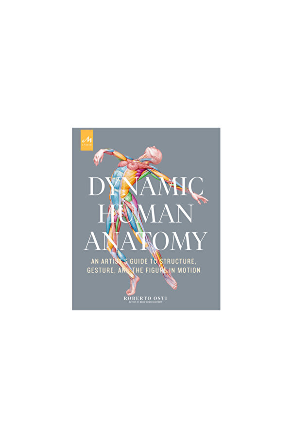 Monacelli Pr Dynamic Human Anatomy: An Artist's Guide to Structure ...
