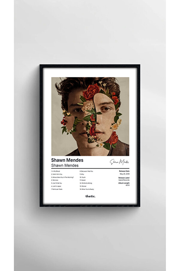 Thetic Shawn Mendes - Shawn Mendes Album Collection Premium Spotify ...
