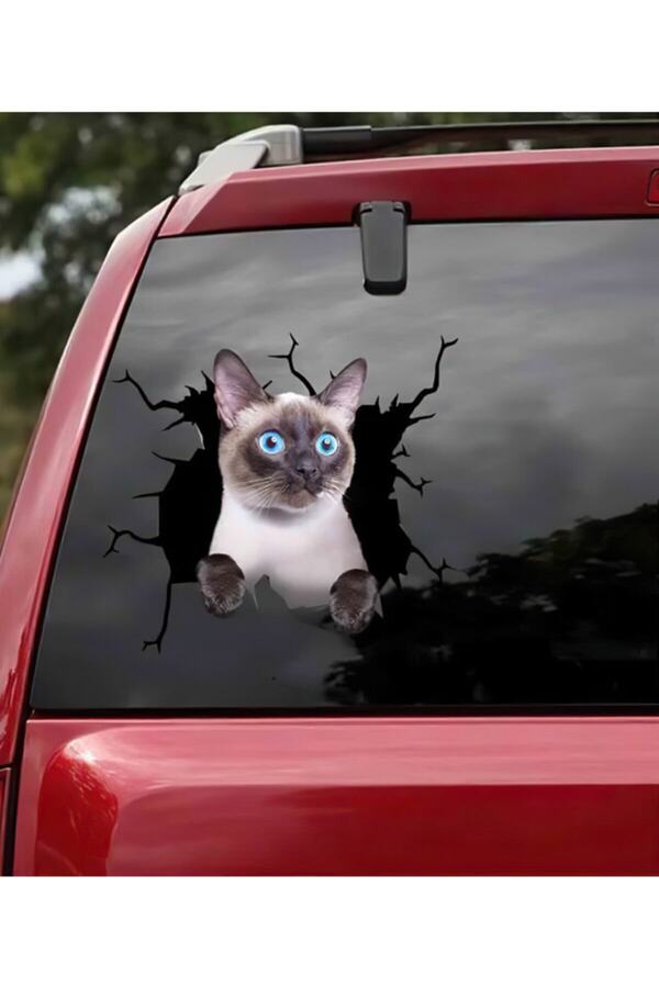 TSC Siamese Cat Car Sticker Paste 17cm- Trendyol