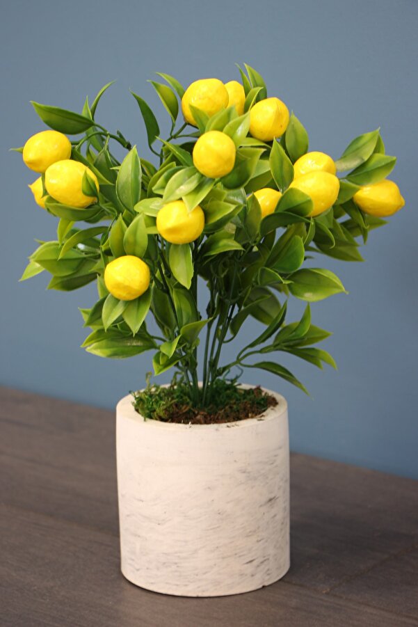 Yapay Çiçek Deposu Mini Lemon Tree in Concrete Pot 30 Cm - Trendyol