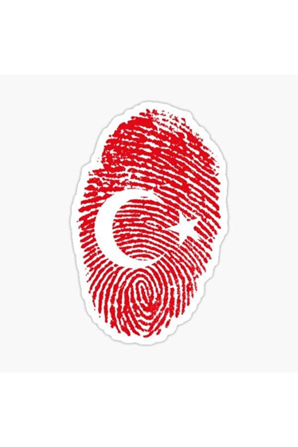 TSC Türkiye Flag Sticker Auto Sticker Car Paste 15cm- Trendyol