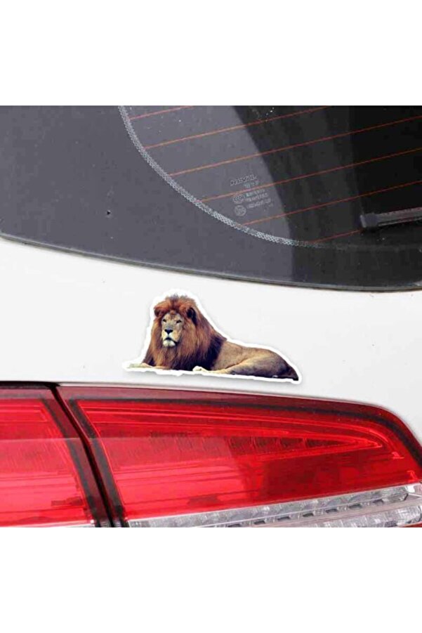 TSC Sticker Sticker For Lion Picture Car 17cm - Trendyol