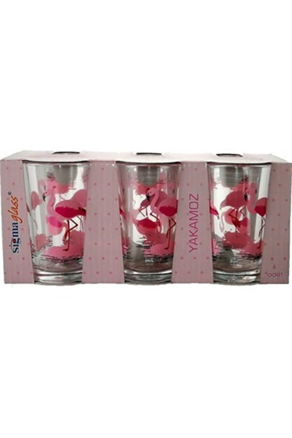 SIGMA GLASS 6 Ii Coffee Side Cup - Trendyol