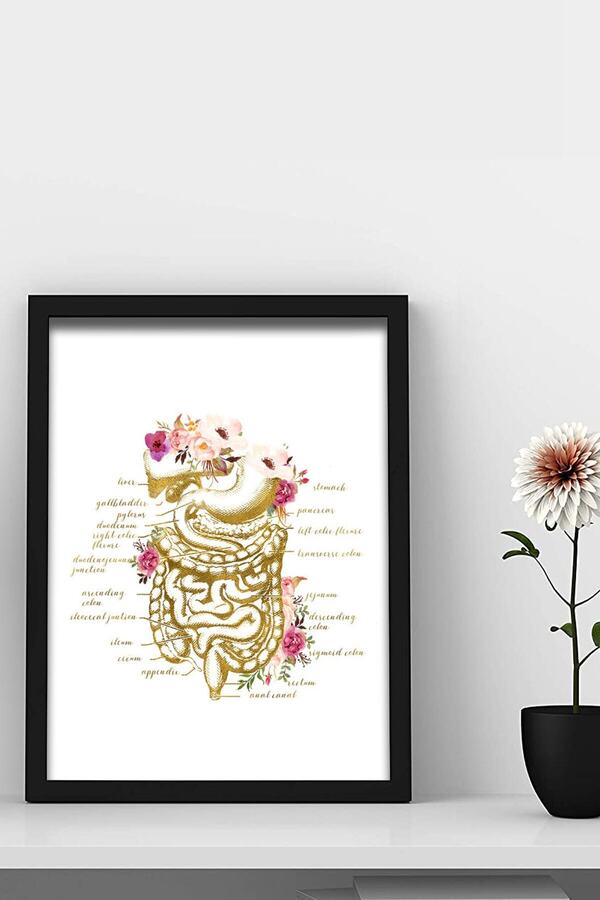 Dekor Loft Human Anatomy, Digestive System, Doctor's Room Wall Painting ...