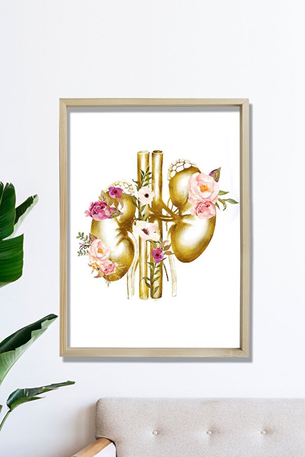 Dekor Loft Kidney Anatomy and Art, Urologist Doctor Wall Painting- Trendyol