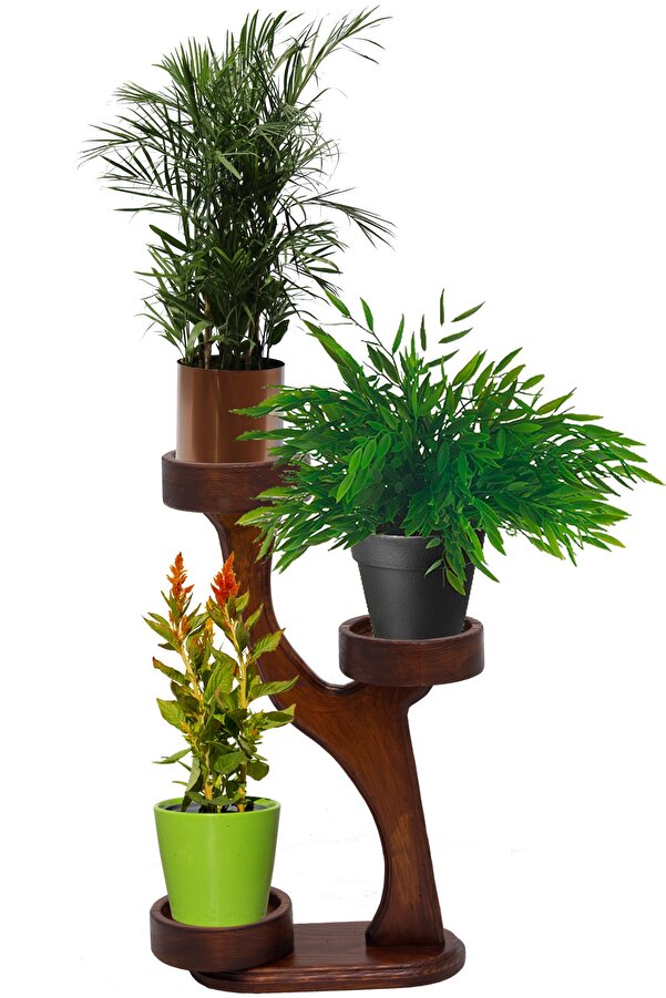 ayfiwood Solid Wood Flower Pot - Table Top, A49-3 Model - Trendyol
