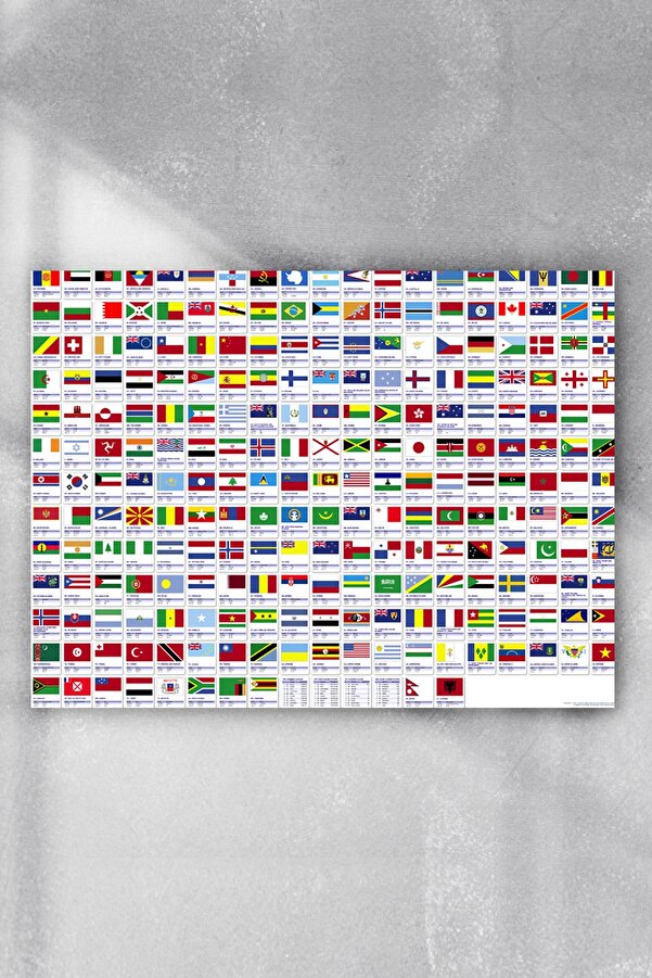 Postermanya 60X90Cm Educational Poster - Country Flags- Trendyol