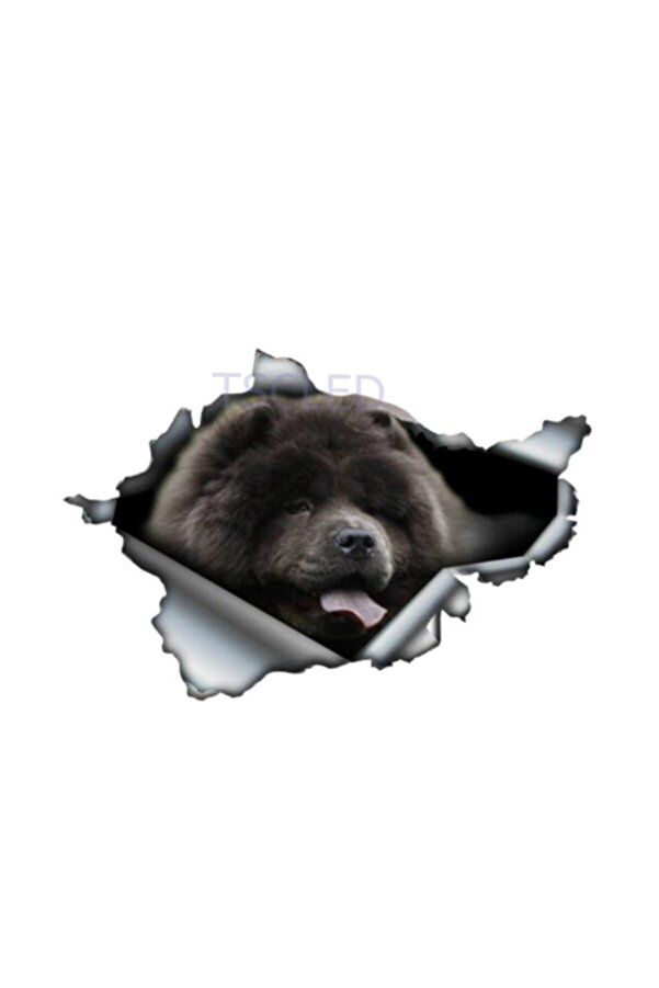 TSC Chow Torn Car Sticker Waterproof Decal- Trendyol