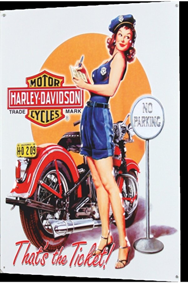 Hayat Poster Pin up Police Woman - Classic Motor Retro Wooden Poster ...