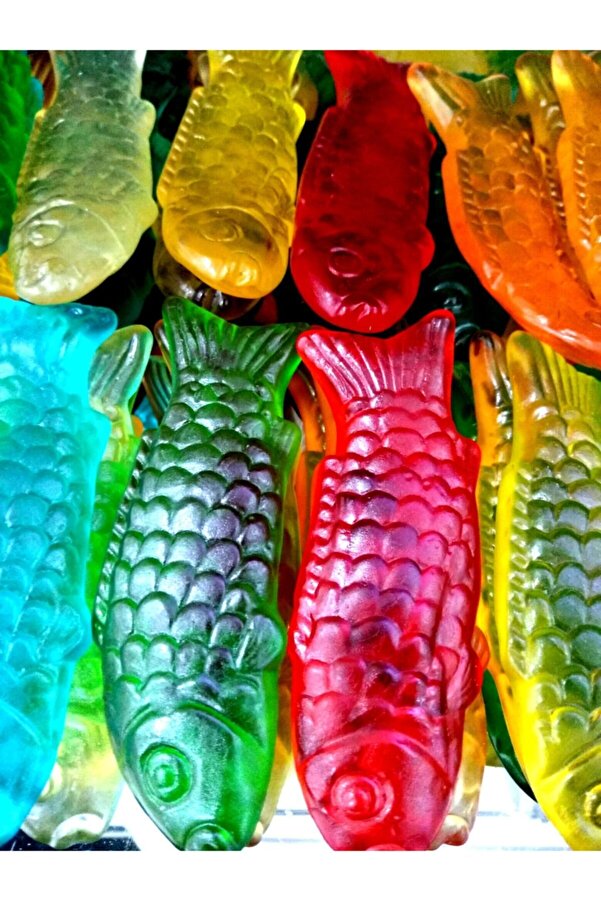 Haribo Giant Fish 1 kg - Trendyol