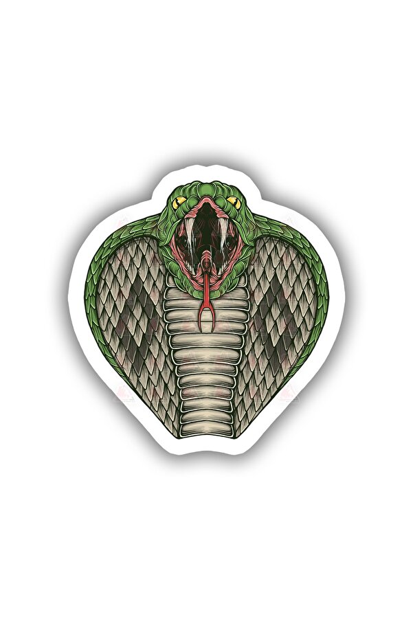 artpap Aggressive Snake Sticker| Phone, Laptop, Notebook Sticker| Angry ...
