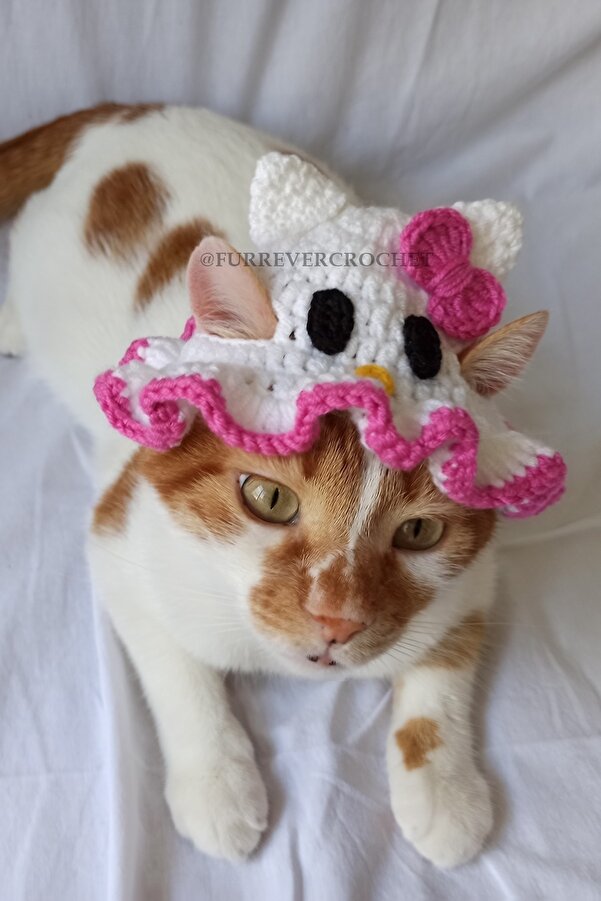 hello kitty hat for cat