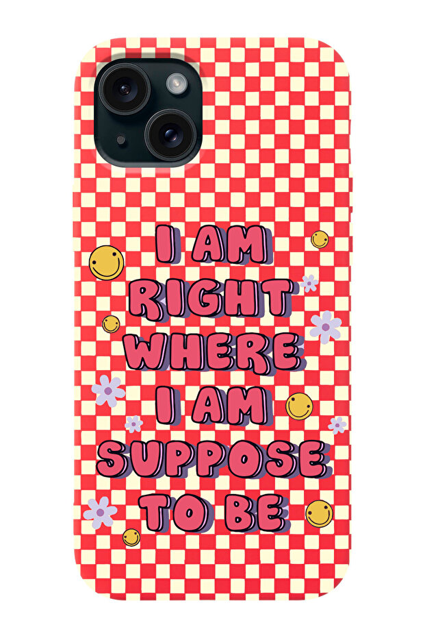 shoptocase Iphone 15 PLUS Uyumlu Dama Smile Desenli Lansman Telefon ...