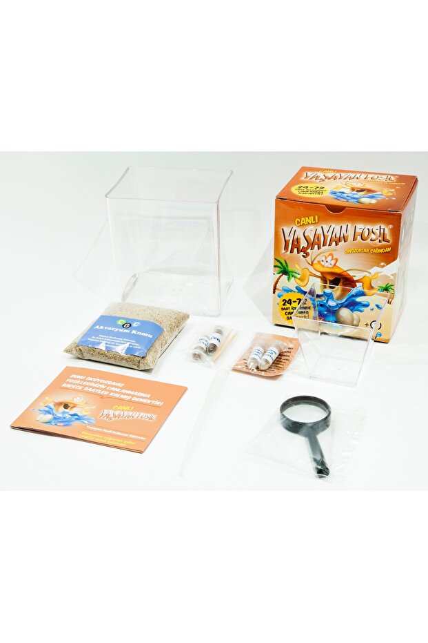 Yaşayan Fosil Fossil Pink Vivid Triops Grow Kit Living from Dinosaurs ...