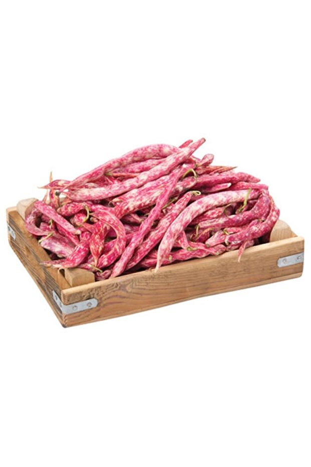 Genel Markalar Meşhur Çilli Ayşe Fasulye Tohumu 10 Tohum Fasülye Tohumu ...