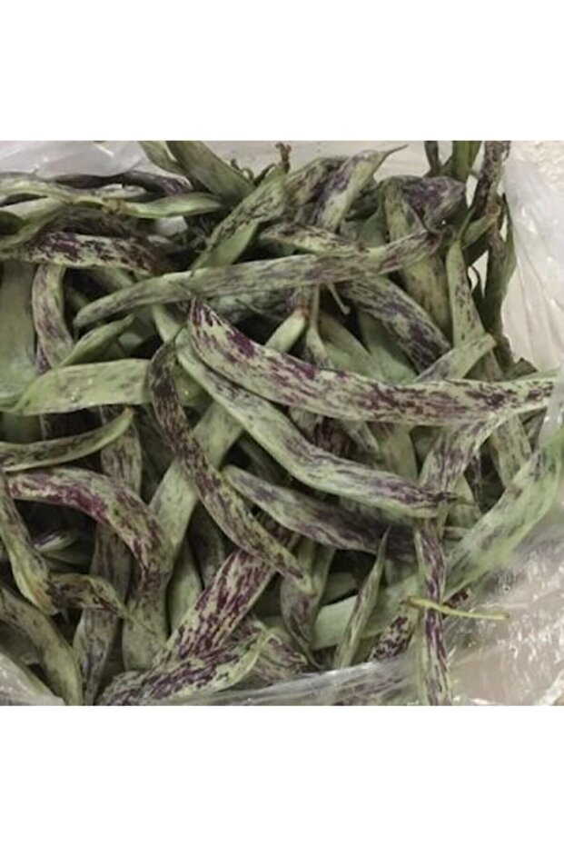 Genel Markalar Meşhur Çilli Ayşe Fasulye Tohumu 10 Tohum Fasülye Tohumu ...