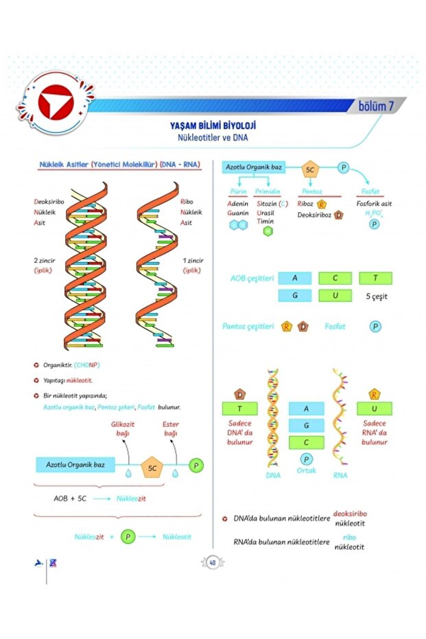 Paraf Yayınları 2025- Biosem - Tyt Biyoloji Seti - Video Ders Kitabı Ve ...