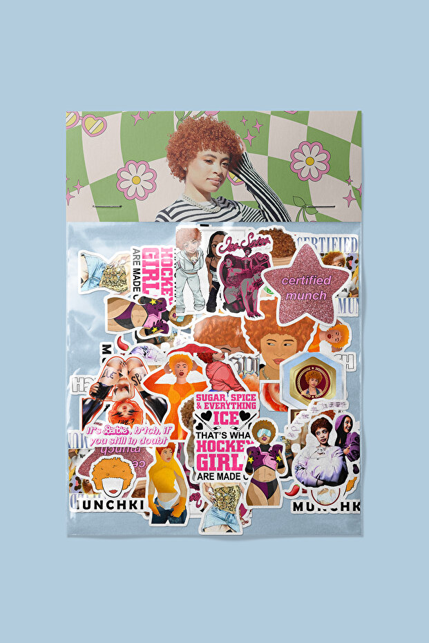 dadi ramba Ice Spice Sticker paketi - Bullet Journal - Ajanda - Planner ...