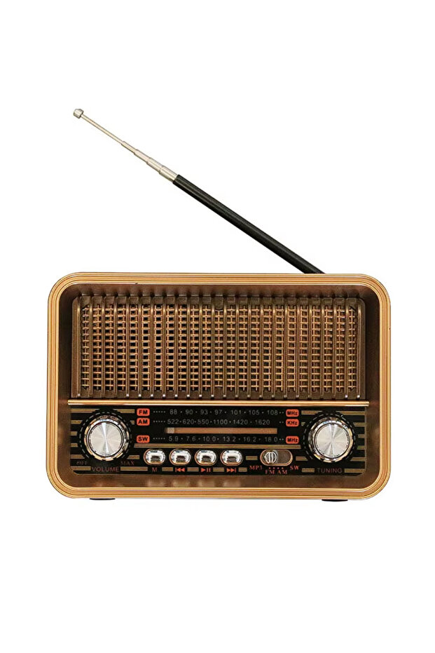 La Cengs Taşınabilir Radyo, HF Kart ve MP3 Çalar, Şarj edilebilir ...