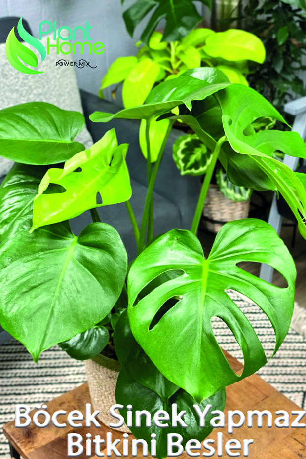 Plant Home Power Mix 10 Litre - Tropikal Bitki Toprağı Monstera ...
