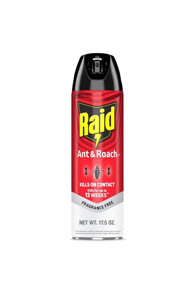 Raid Ant & Roach Aerosol Insect KIller - Unscented, 17.5 Oz- Trendyol
