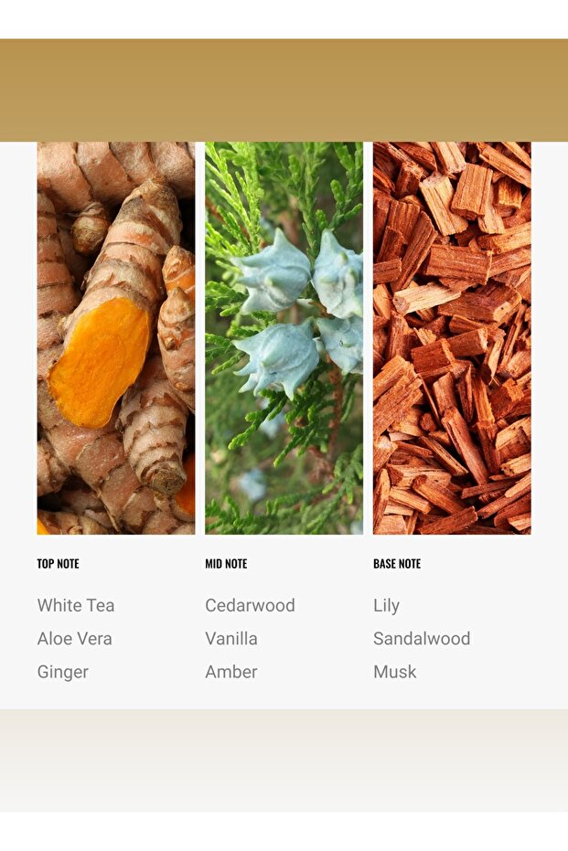 Hotel Collection Chauffeur Car Diffuser Oil - Dream On - Car Air ...