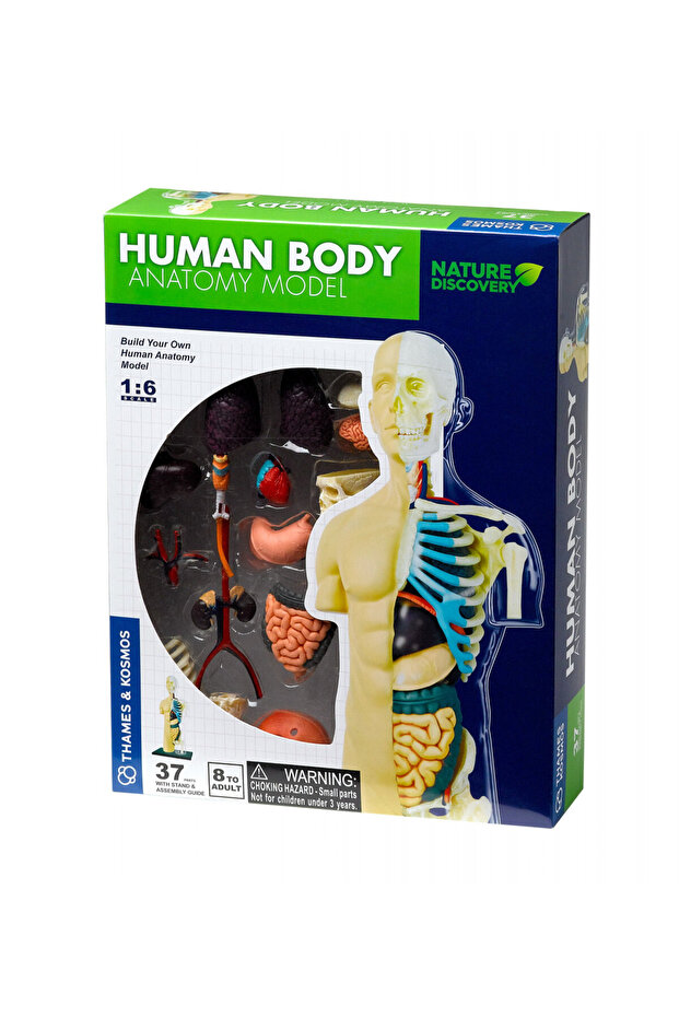 Thames & Kosmos Kit STEM Anatomia corpului uman, Thames & Kosmos ...