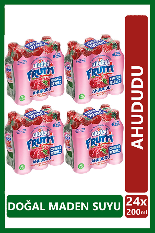 Uludağ Frutti Ahududu Aromalı Maden Suyu 200 ml x 24 adet - Fiyatı, Yorumları