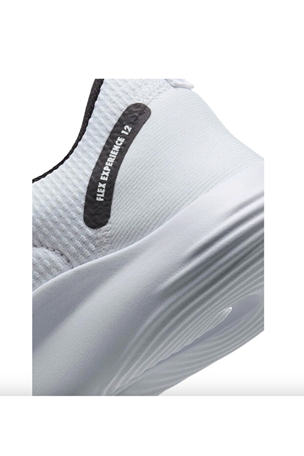 Nike Flex Experince Rn 12 Running and Training Shoes Dv0740 101- Trendyol