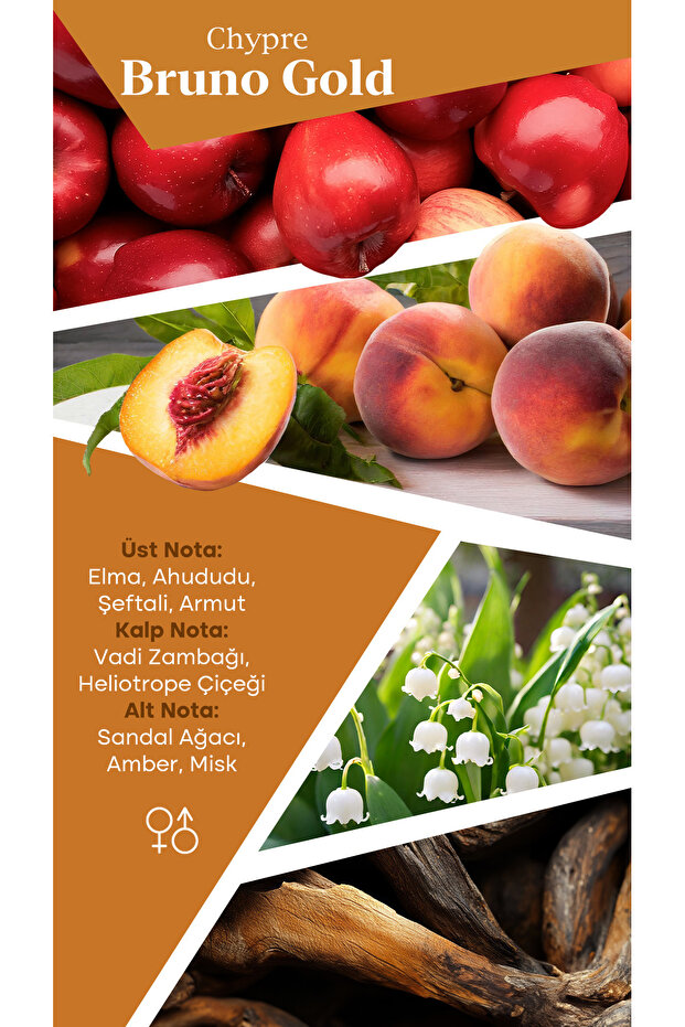 Mad Parfüm Bruno Gold 100 ml Unisex Parfüm - Fiyatı, Yorumları