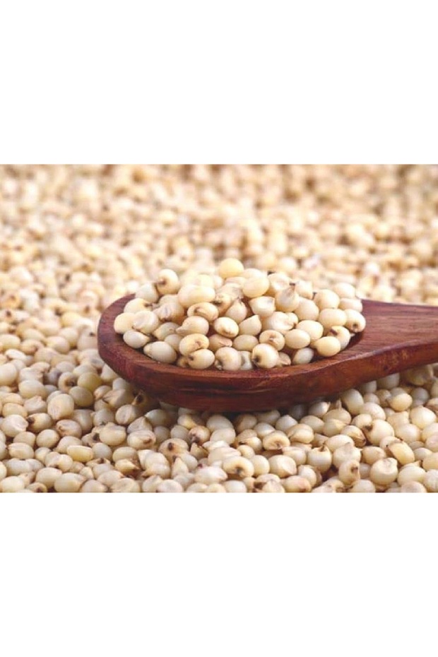 Natural Jawar Whole 2kg (White Sorghum/Jowar)X2- Trendyol