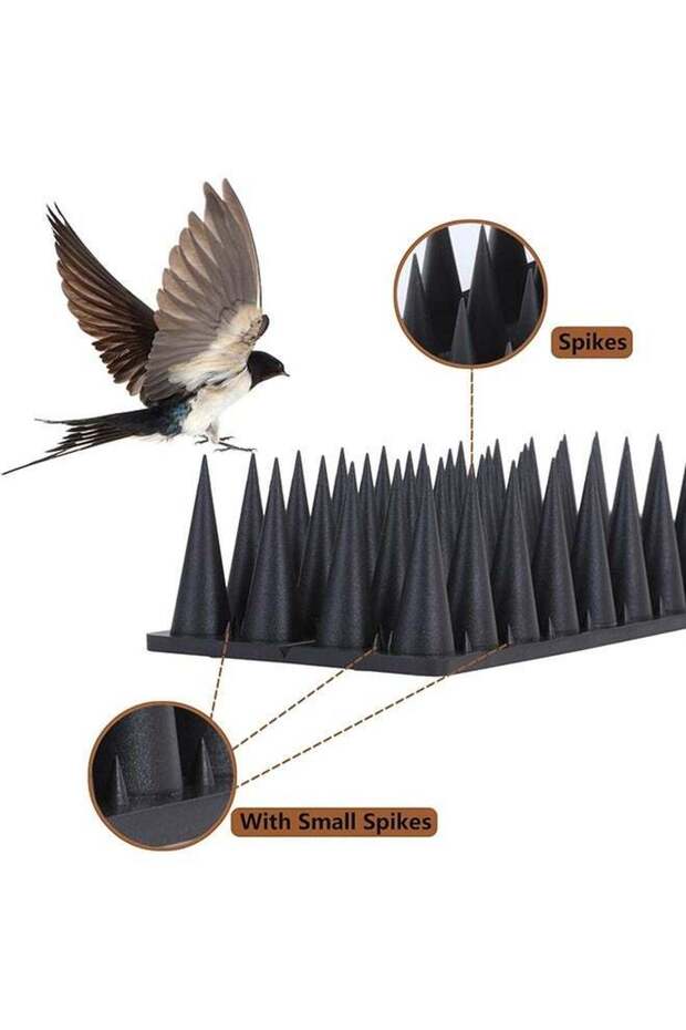 COOYA Bird Spikes, 20 Pack Bird Nails for Birds Pigeons Squirrels, Cats ...