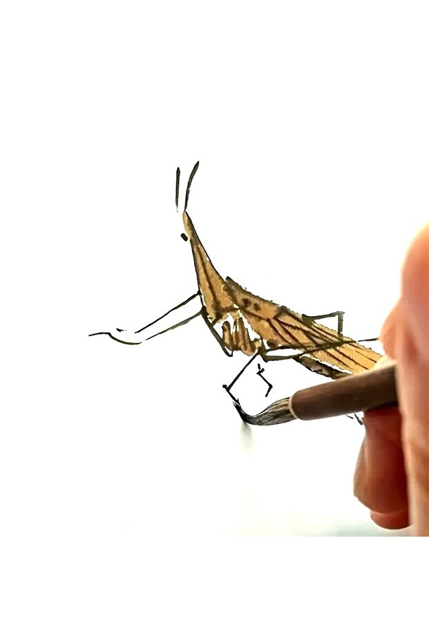 Sanathobi Tahrir Fırçası Kurt Kılı No:1-çini, seramik, tezhip, minyatür ...