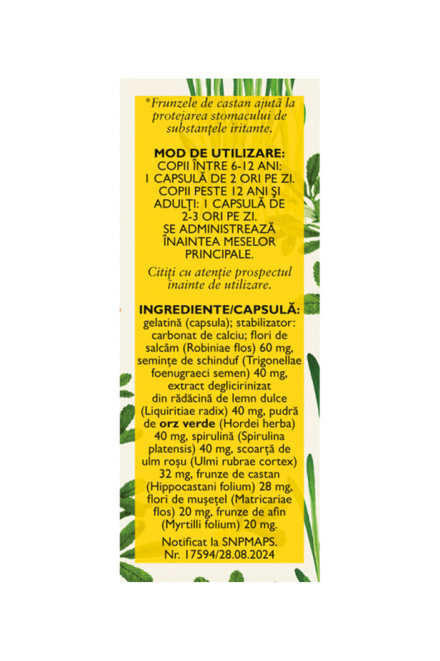 Fares Gastric Protection, D47, 30 capsules, protects the stomach from ...